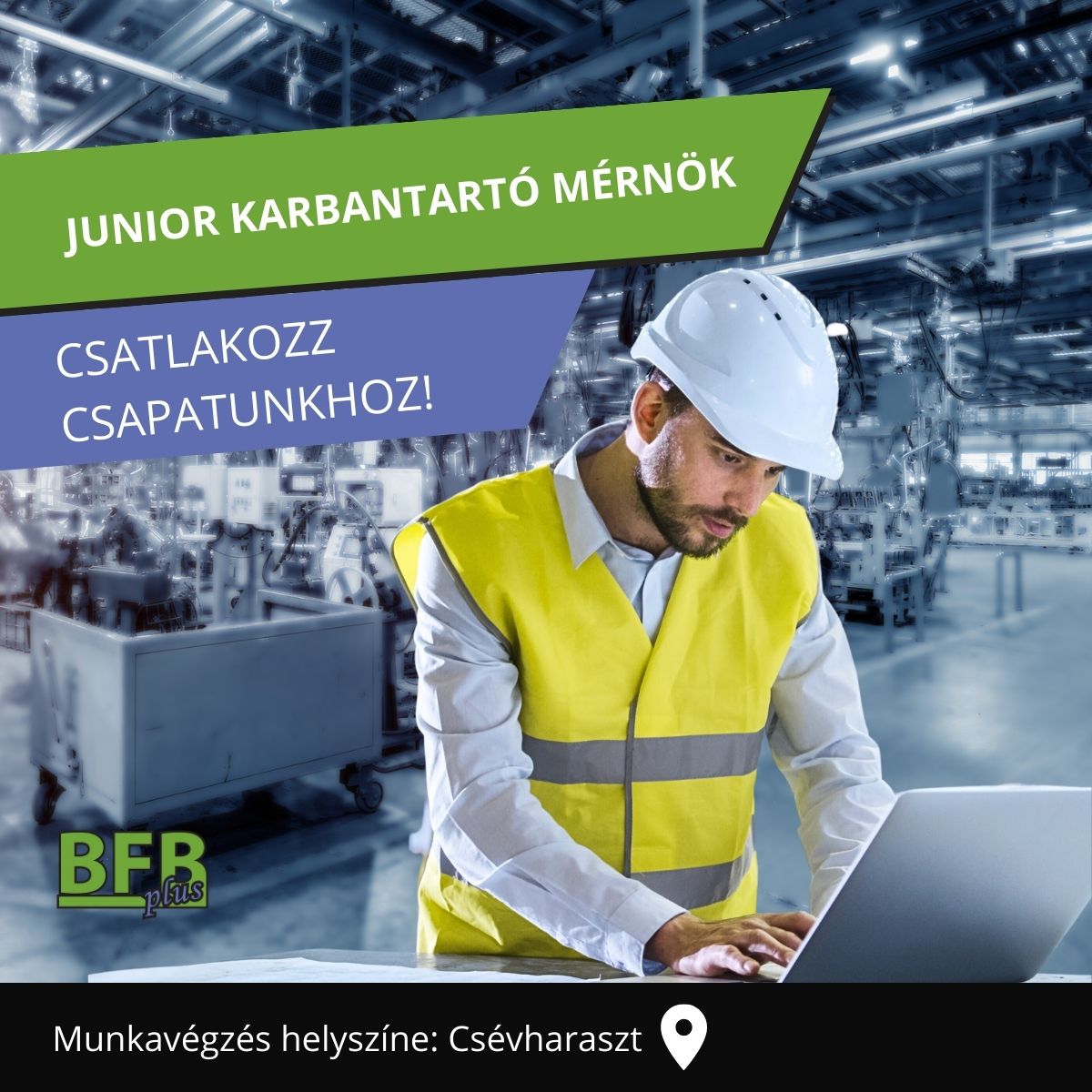 BFB plus KFT. hivatalos honlapja