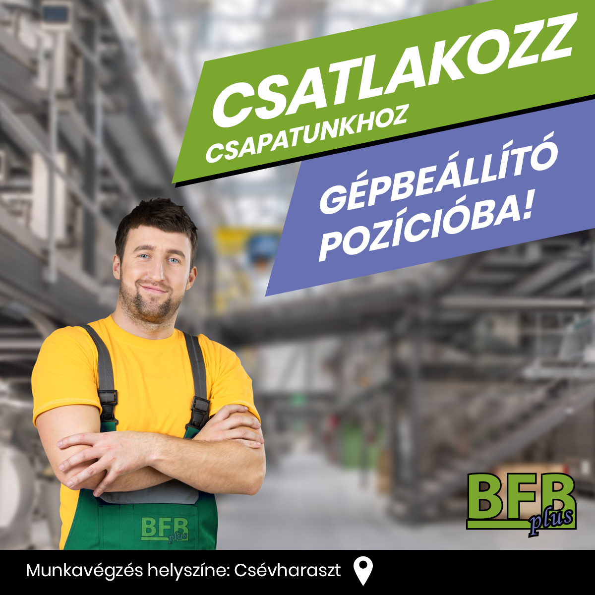 BFB plus KFT. hivatalos honlapja