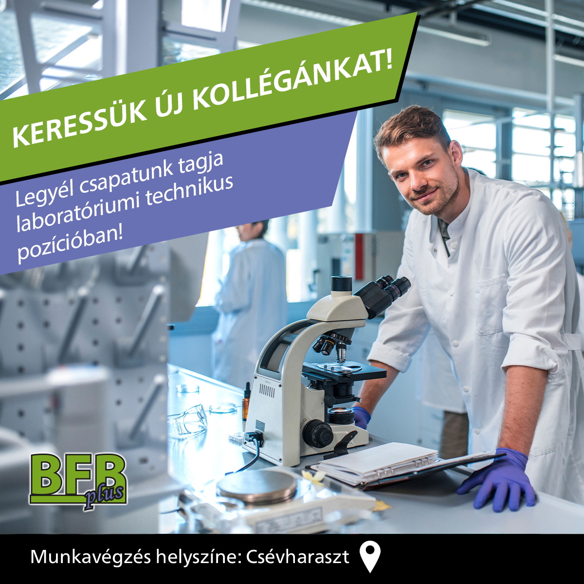 BFB plus KFT. hivatalos honlapja