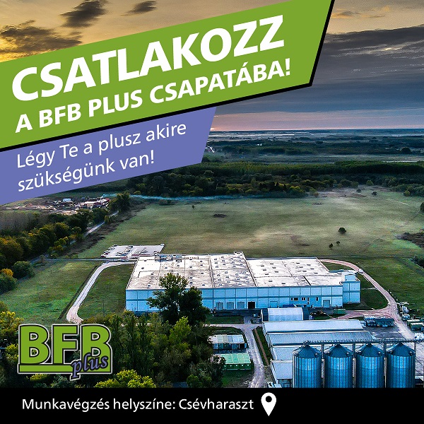 BFB plus KFT. hivatalos honlapja