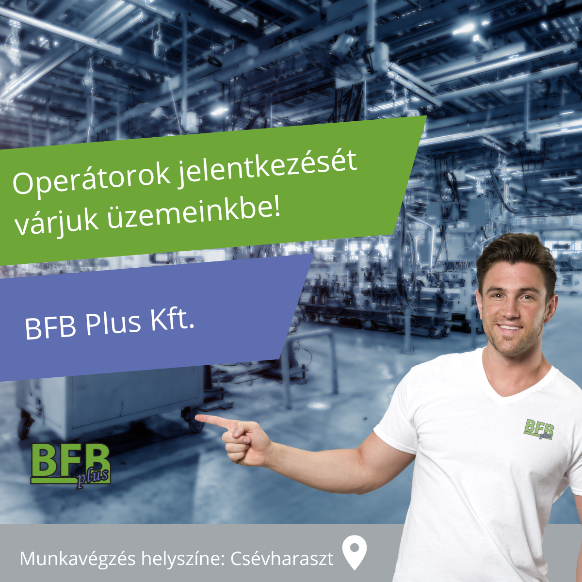 BFB plus KFT. hivatalos honlapja